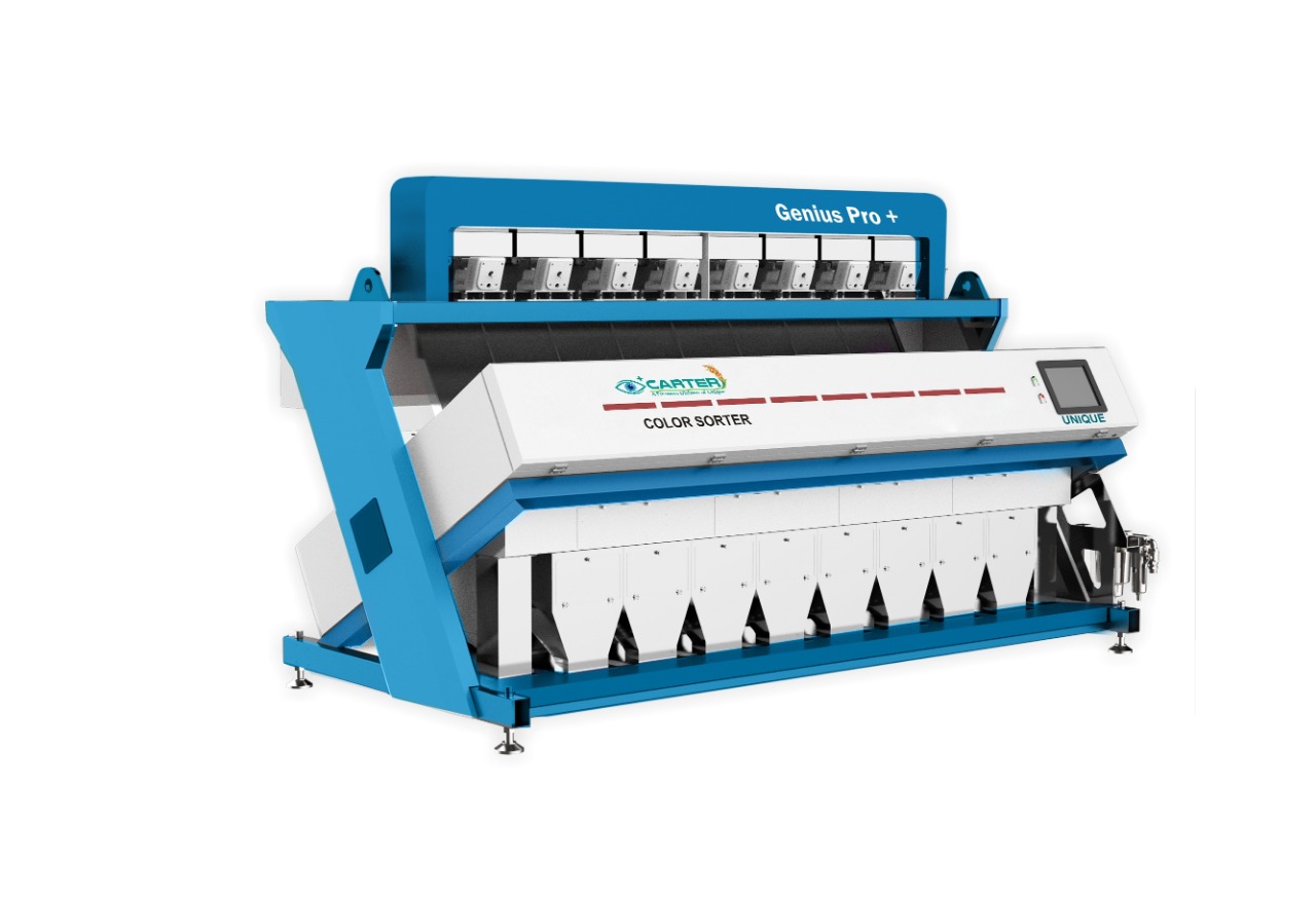 Salt Color Sorter Supplier and Manufacturer in Haryana, India